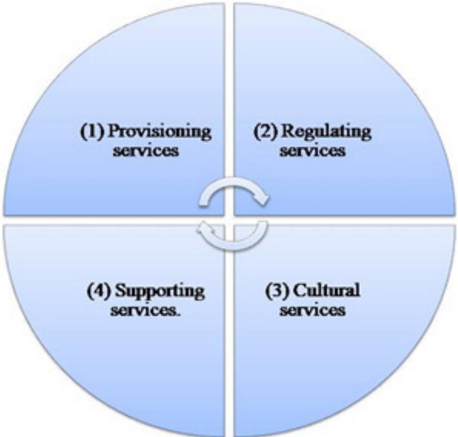 Classification of ecosystem services (adapted from ma,