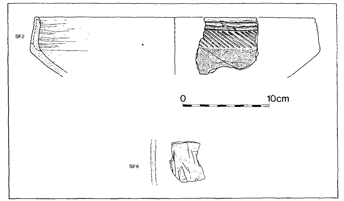 Bases of the incisions appear to be glossy and possibly