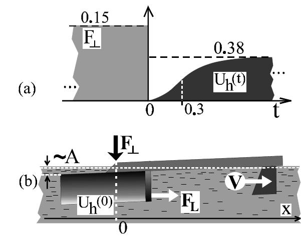Lifting mechanism of the thrust: plots of vertical force f,