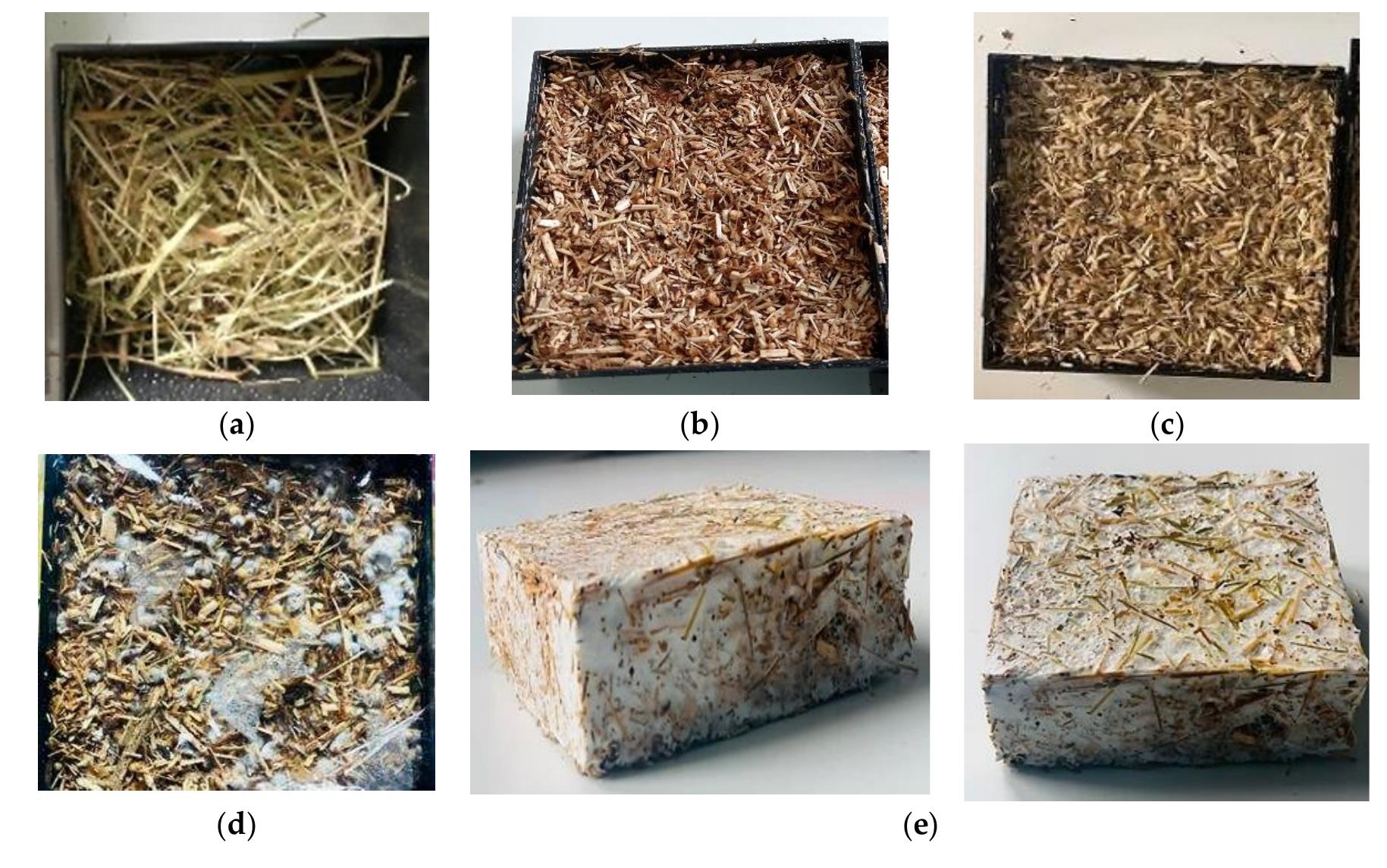 Stages of the mycelium-based composites: (a) substrate