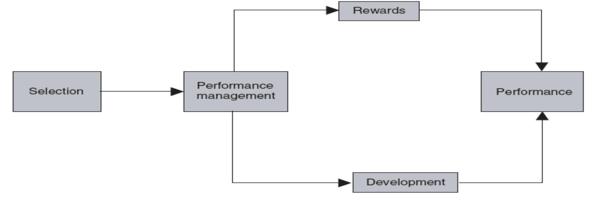 The human resource cycle (adapted from [fombrun et al, 1984]