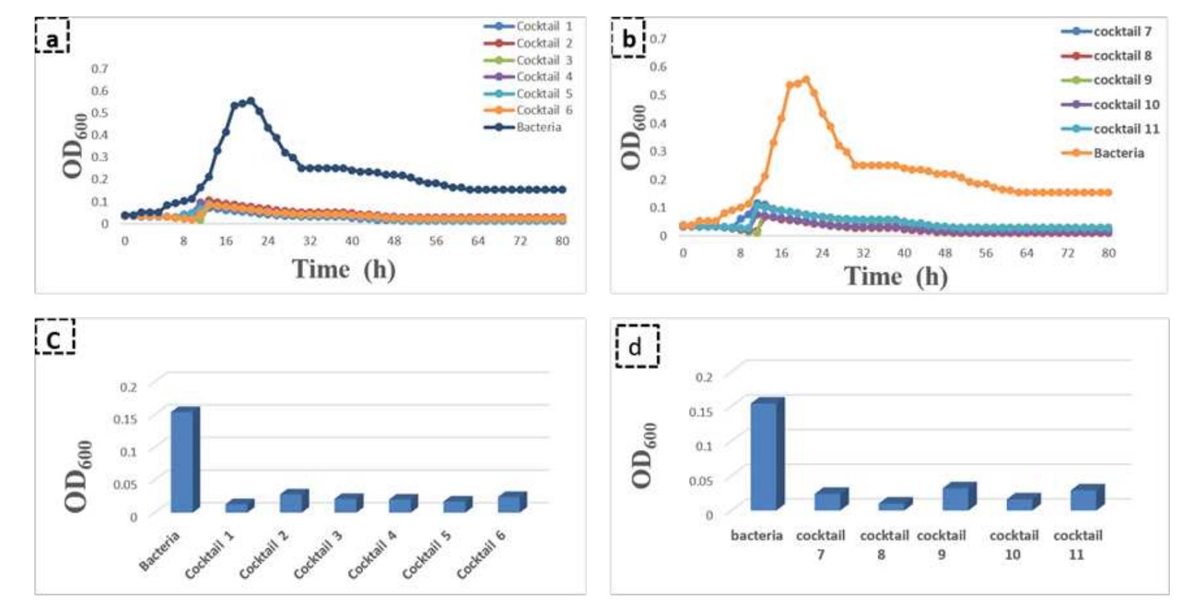 /n vitro killing curves of p. aeruginosa (a and b) — the