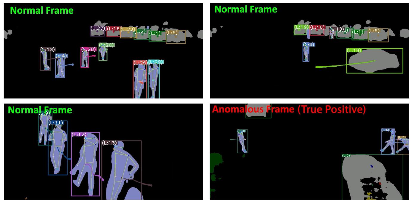 Examples of frame labeling. the green labeled frames are