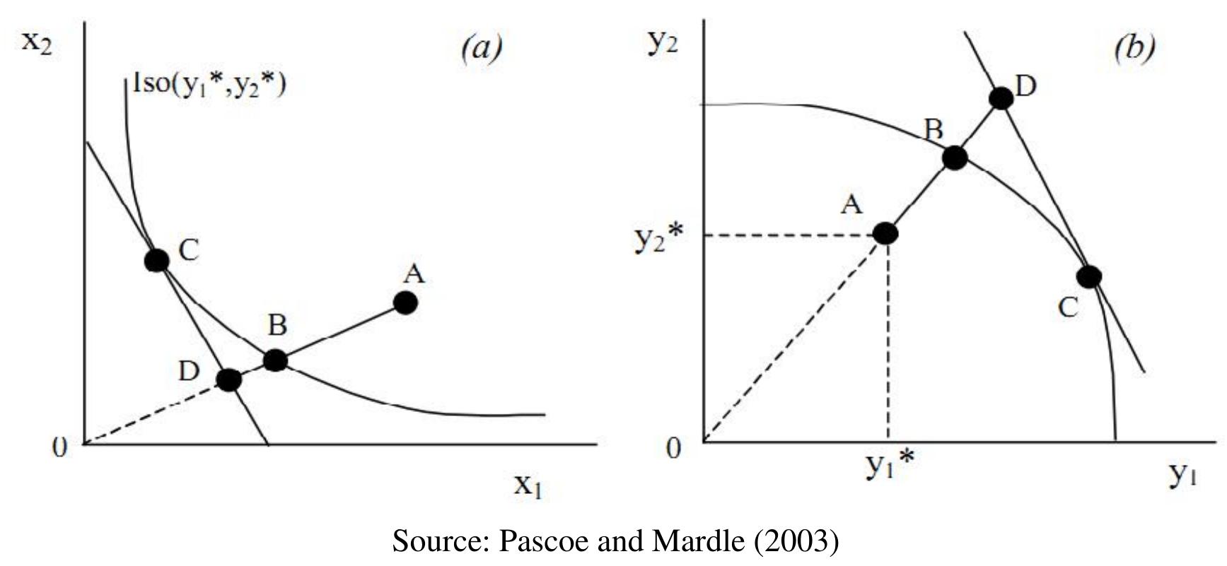 5 Input A And Output B Oriented Measures Of Efficiency