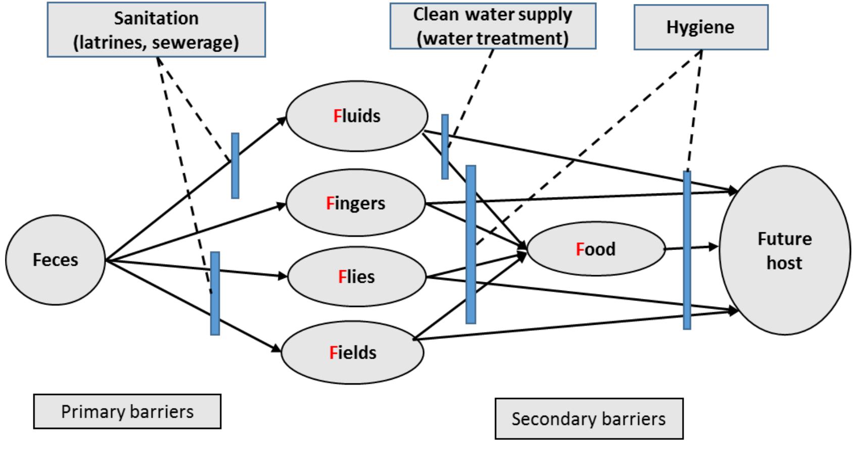 -2: the “f-diagram” shows the pathways of fecal disease