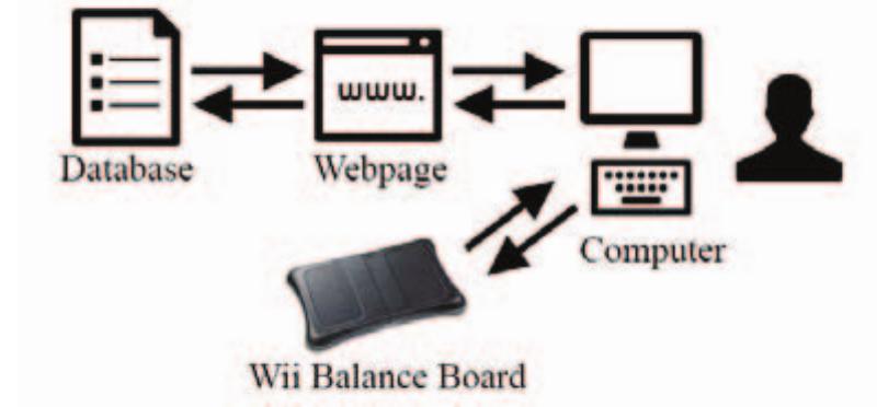 Flow chart of the posturography system. the web platform was