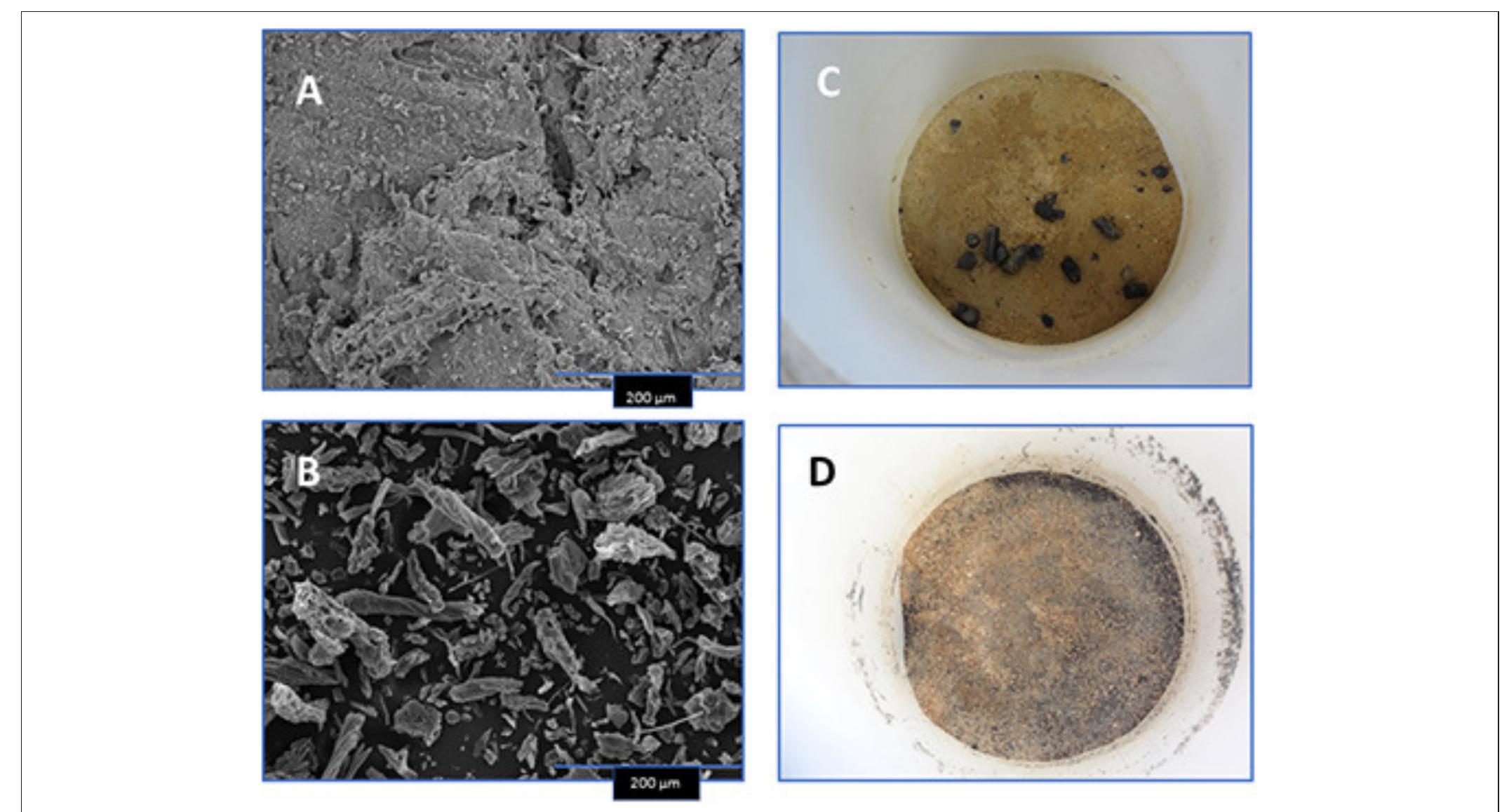| scanning electron microscopic images of select biochars