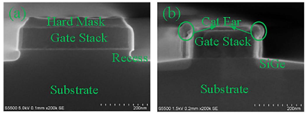 The sem micrographs of samples with damaged spacers before