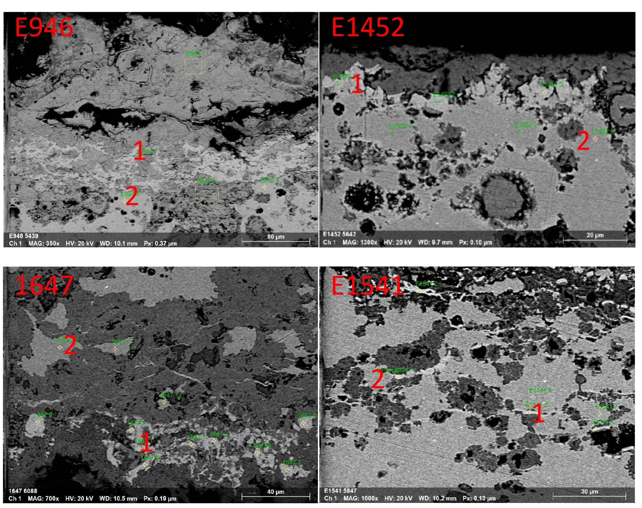 Location of analyses comparing gamma phases with bulk alpha