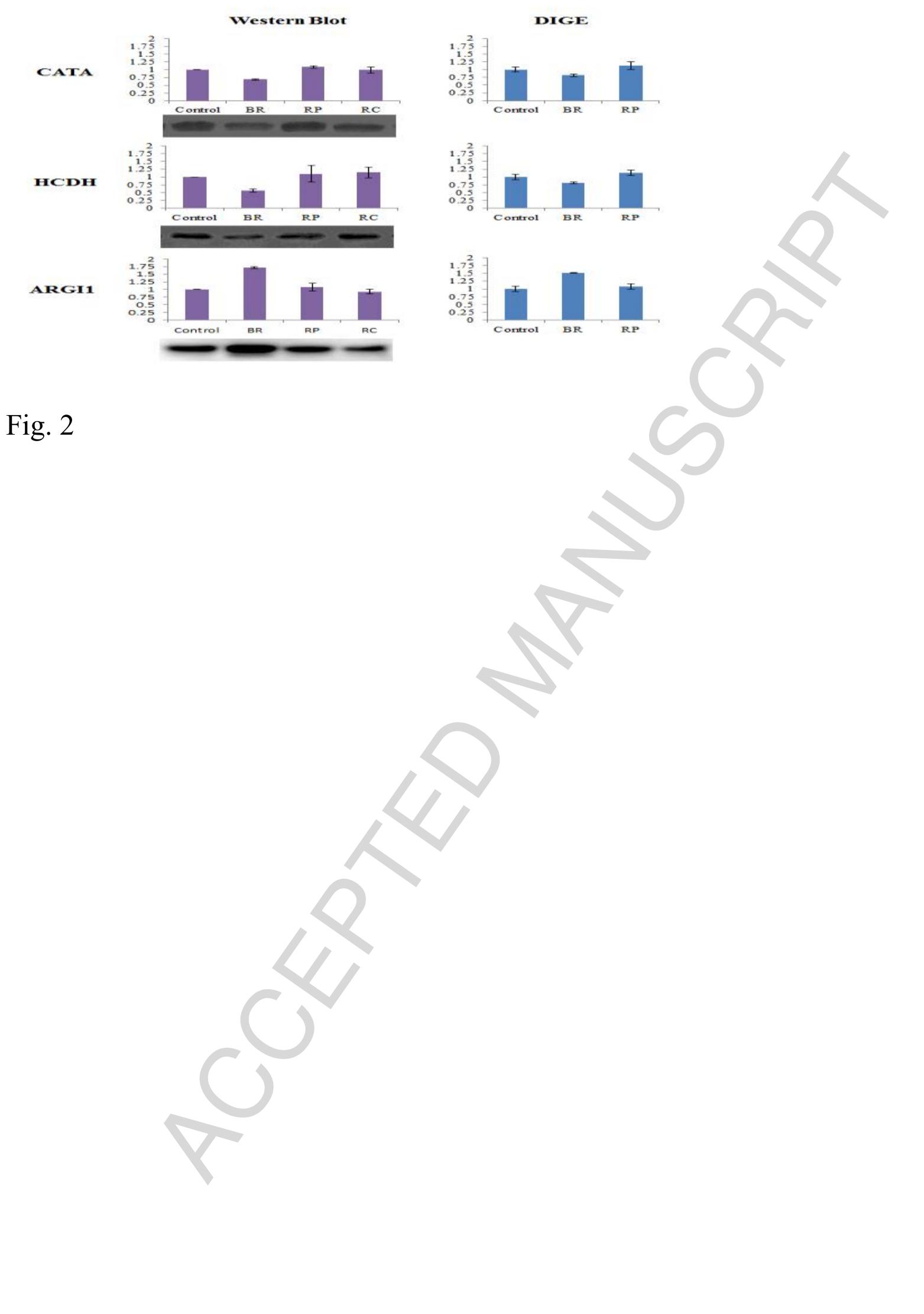 Figure 2 - PPAR signaling pathway is a key modulator of