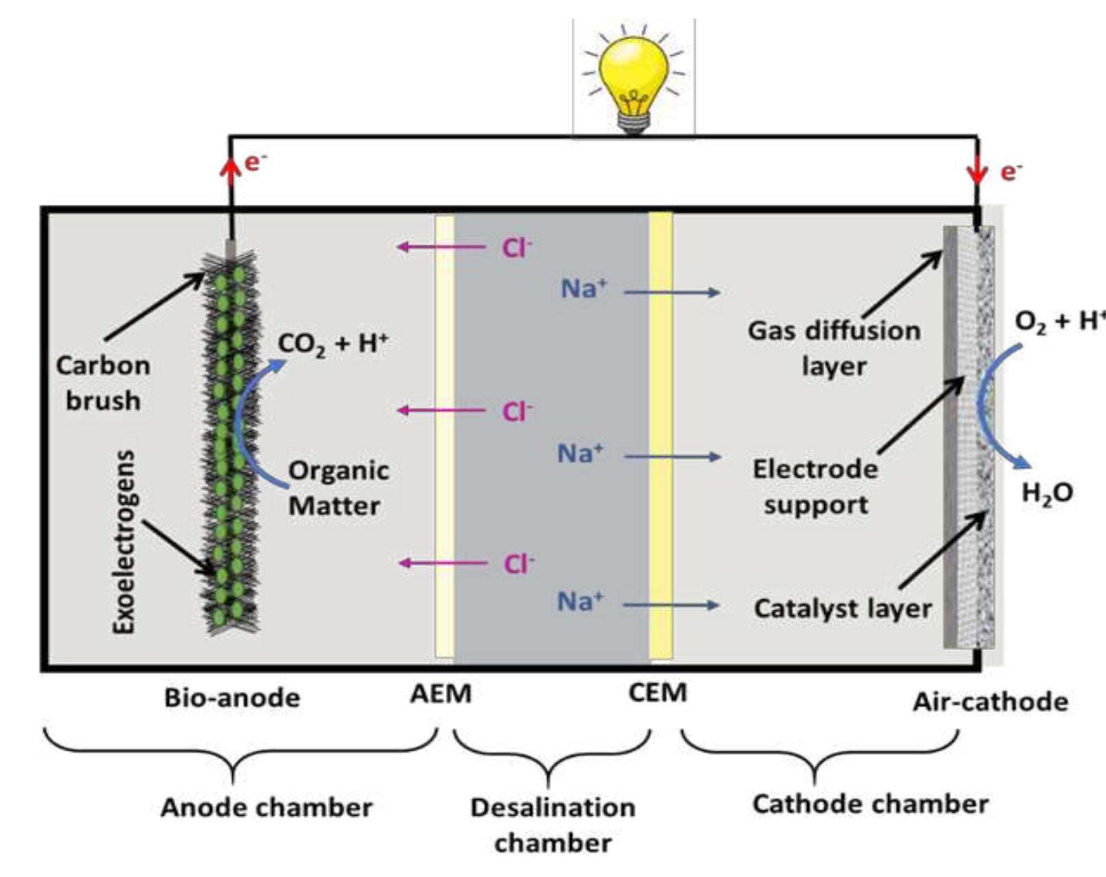 Schematic diagram of typical (mdc). force to desalinate