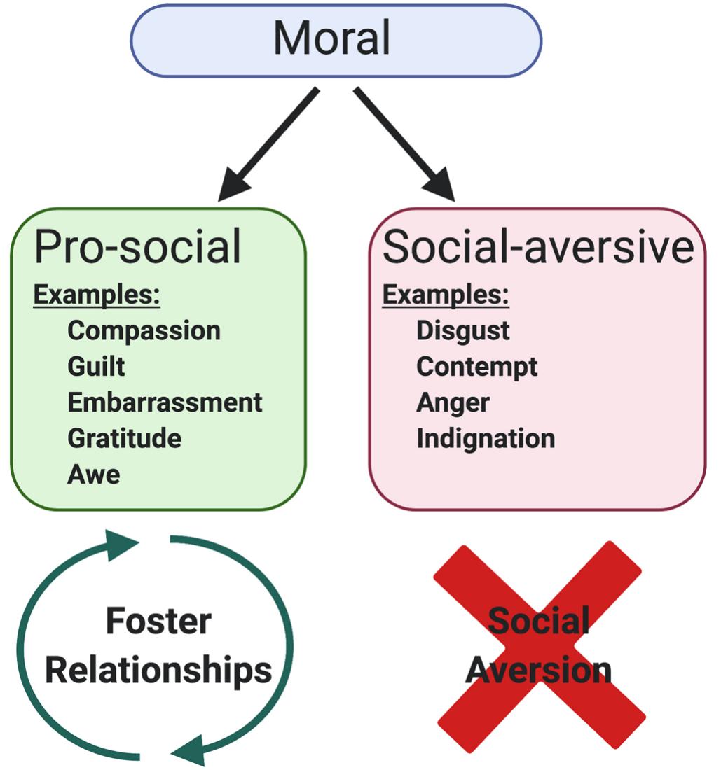Schematic illustration of one of the ways social feelings