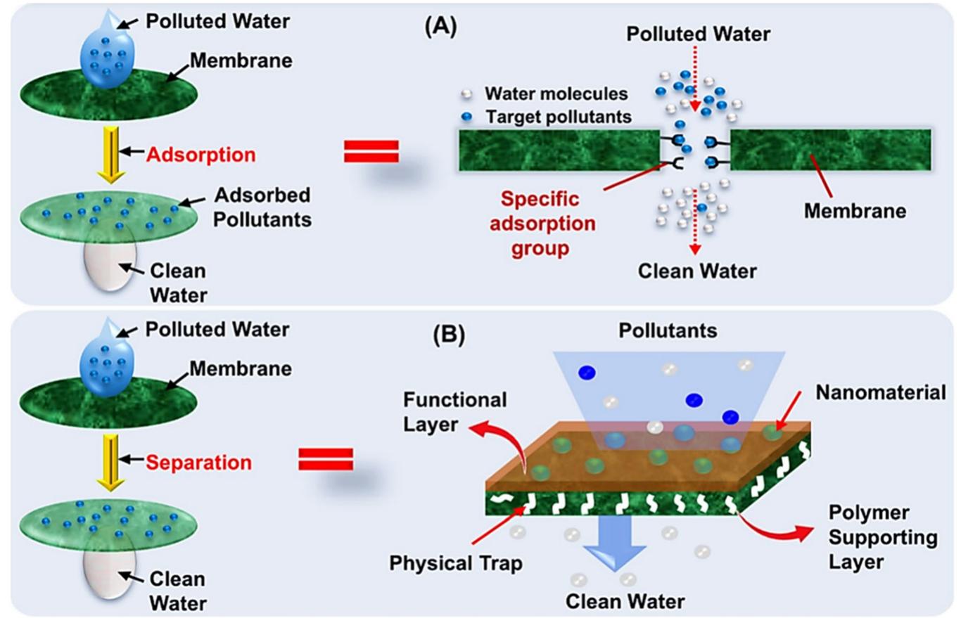 Schematic diagram of the mechanism of nanomaterials using