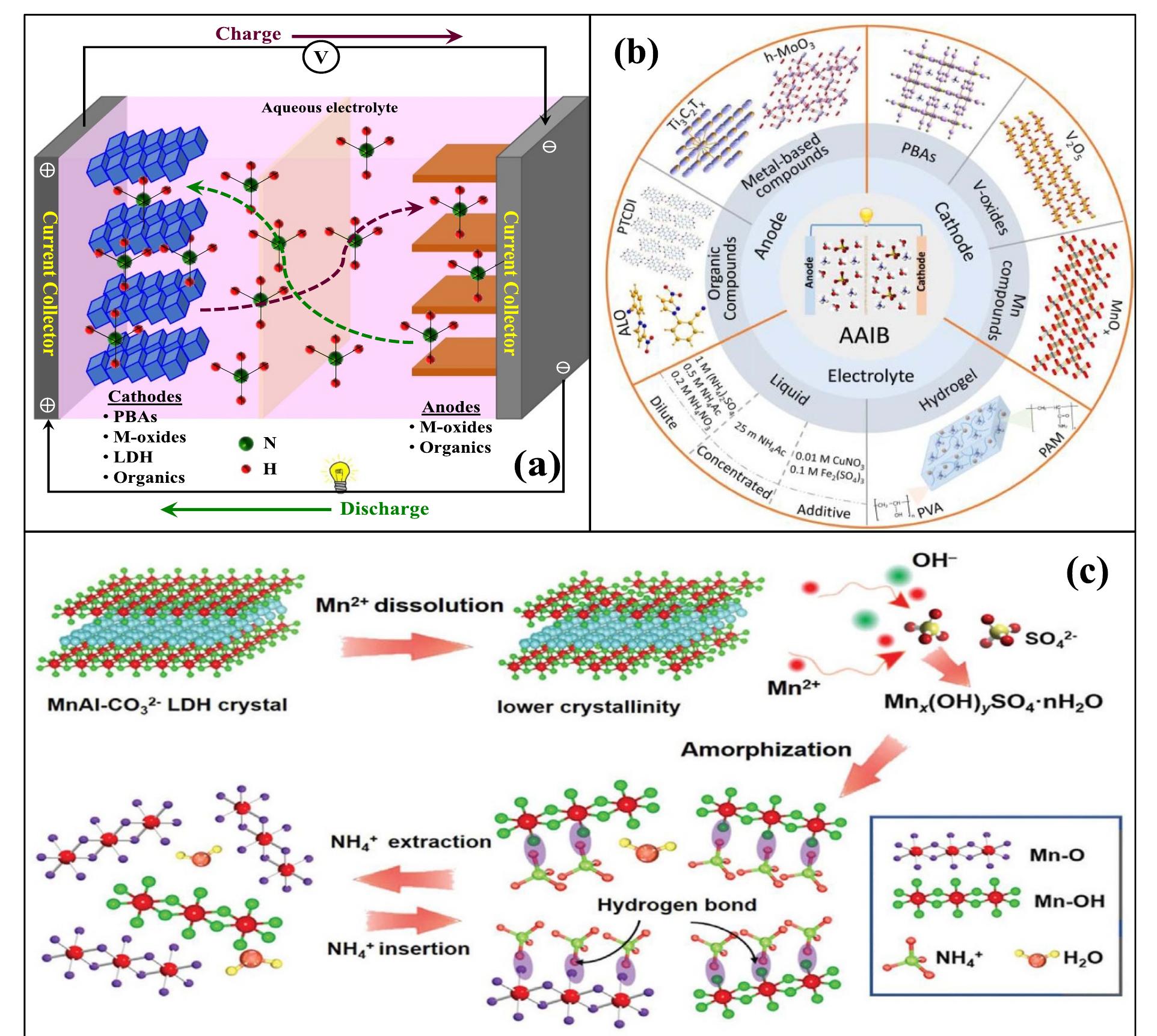 (a) schematic structure of an aib. (b) schematic view of