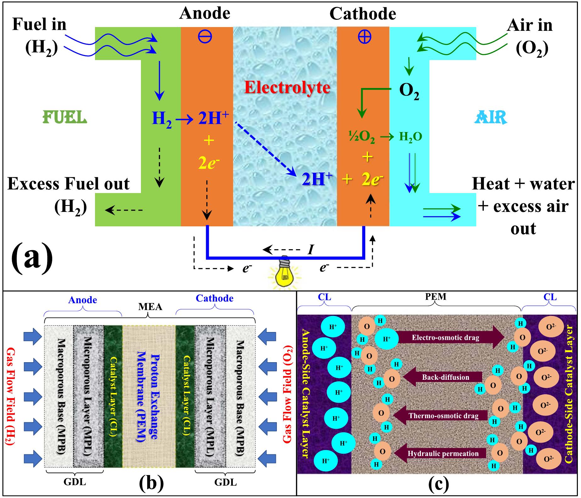 (a) schematic diagram of a hydrogen fuel cell. (b)