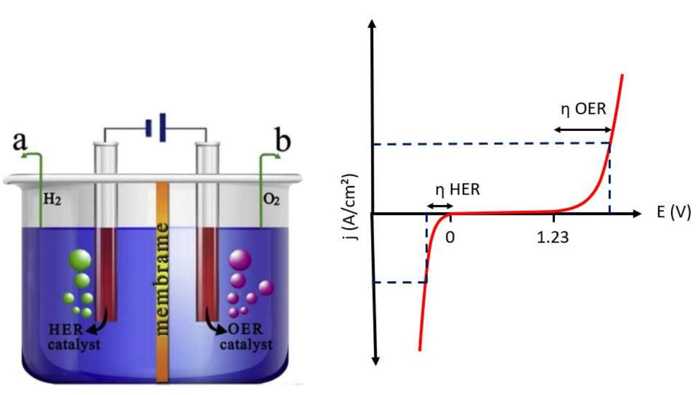 Left: water electrolysis cell. her, hydrogen evolution