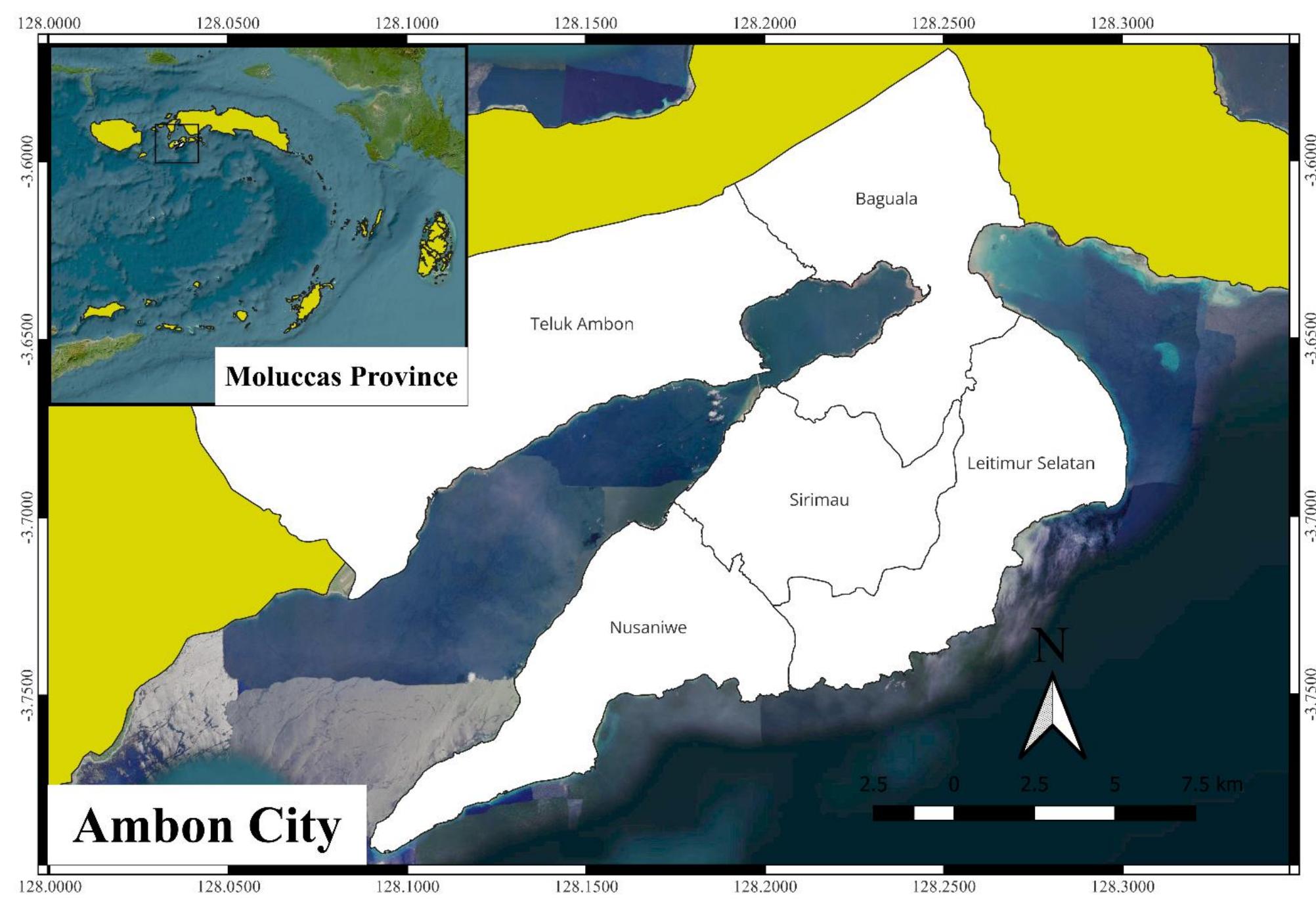 The morphology of the ambon bay is shaped with two parts,