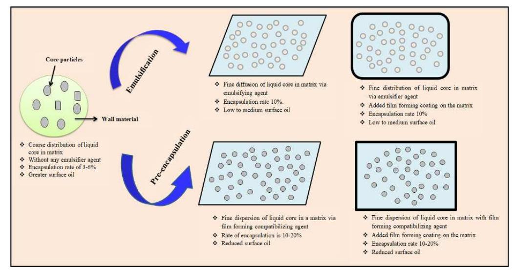 (PDF) Extrusion Technology for Encapsulation: Principle, Method, and ...