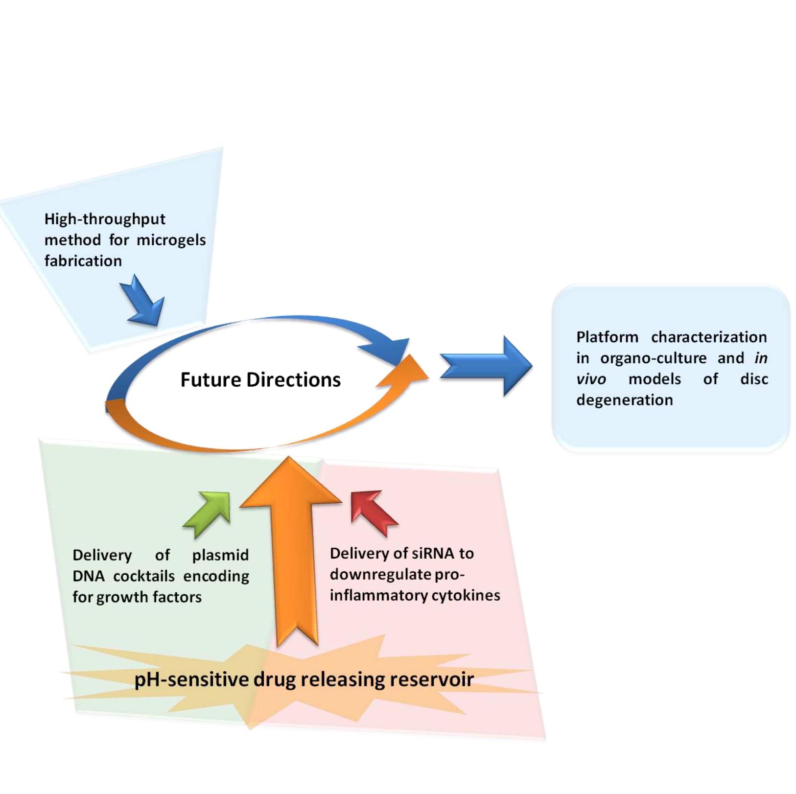 4: schematic depicting future directions of the project