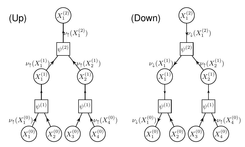 A phase transition in diffusion models reveals the