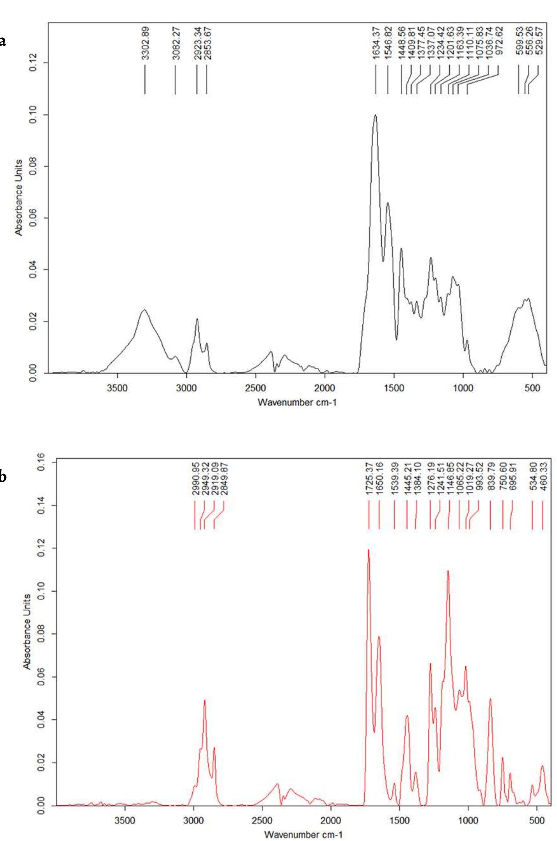 Ftir spectra with the identification of: a) nylon by the