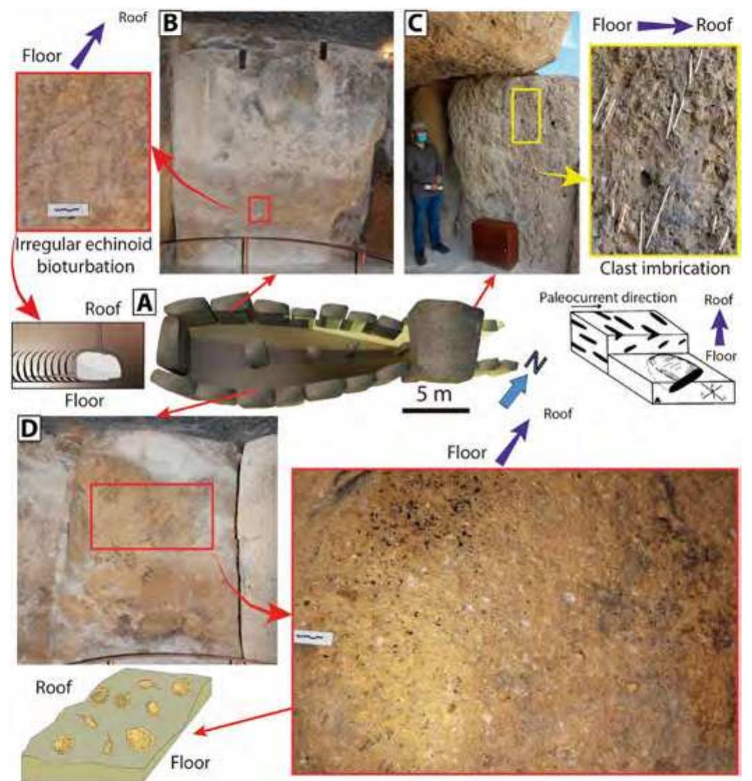 Polarity criteria of roof and floor in the original