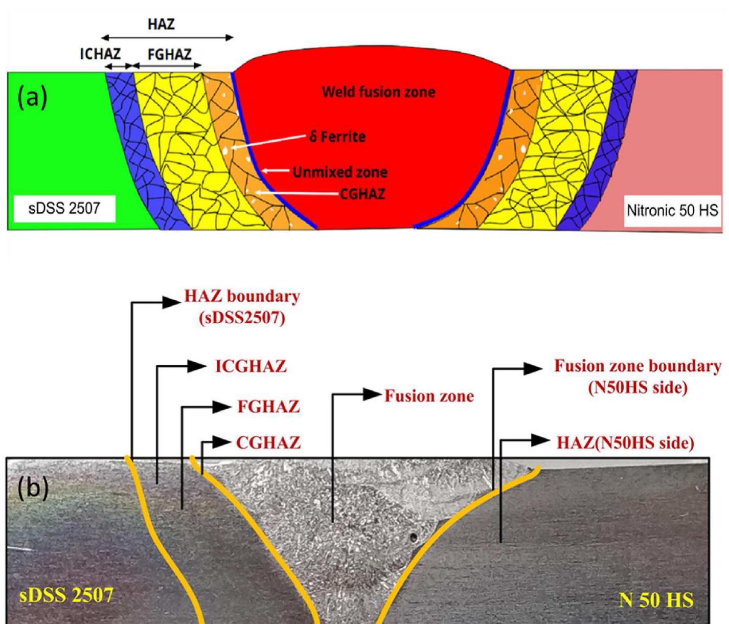 Schematic Showing Complex A Microstructure And B