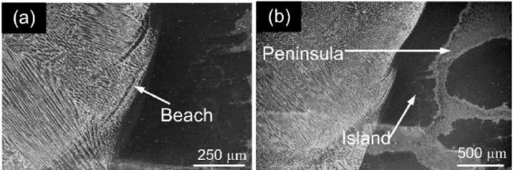 The microstructure of unmixed zone of welded condition (a)