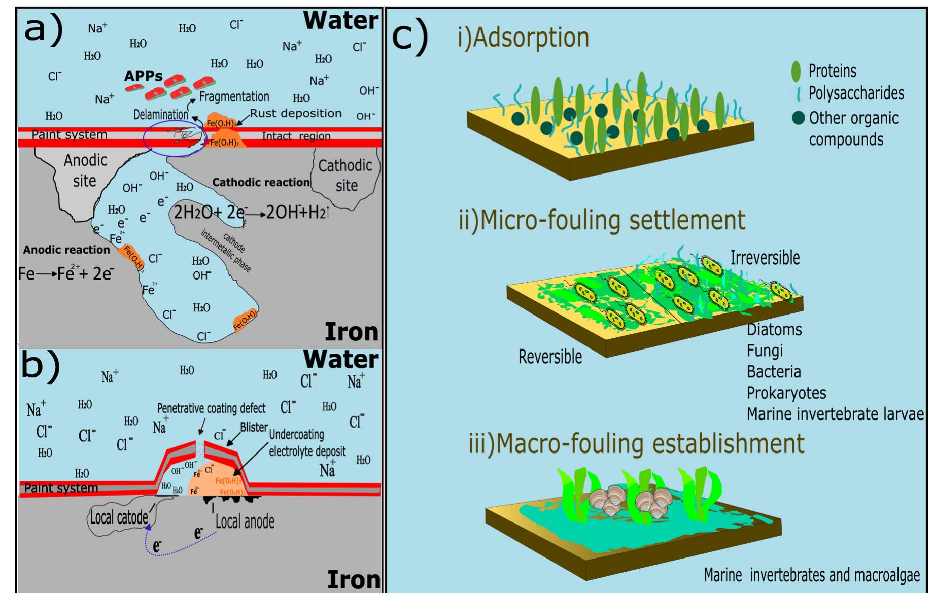 Aqueous corrosion mechanism of iron structure: (a) pitting