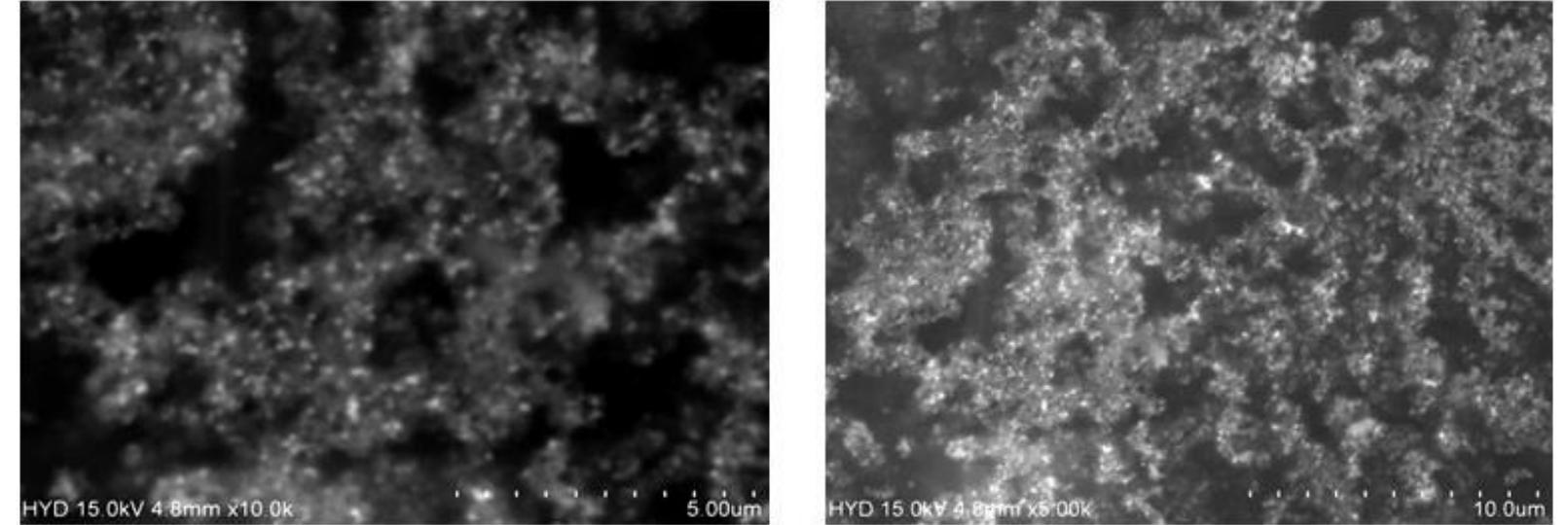 Sem images of dasatinib-loaded snedds (s3) and s-snedds (f3)