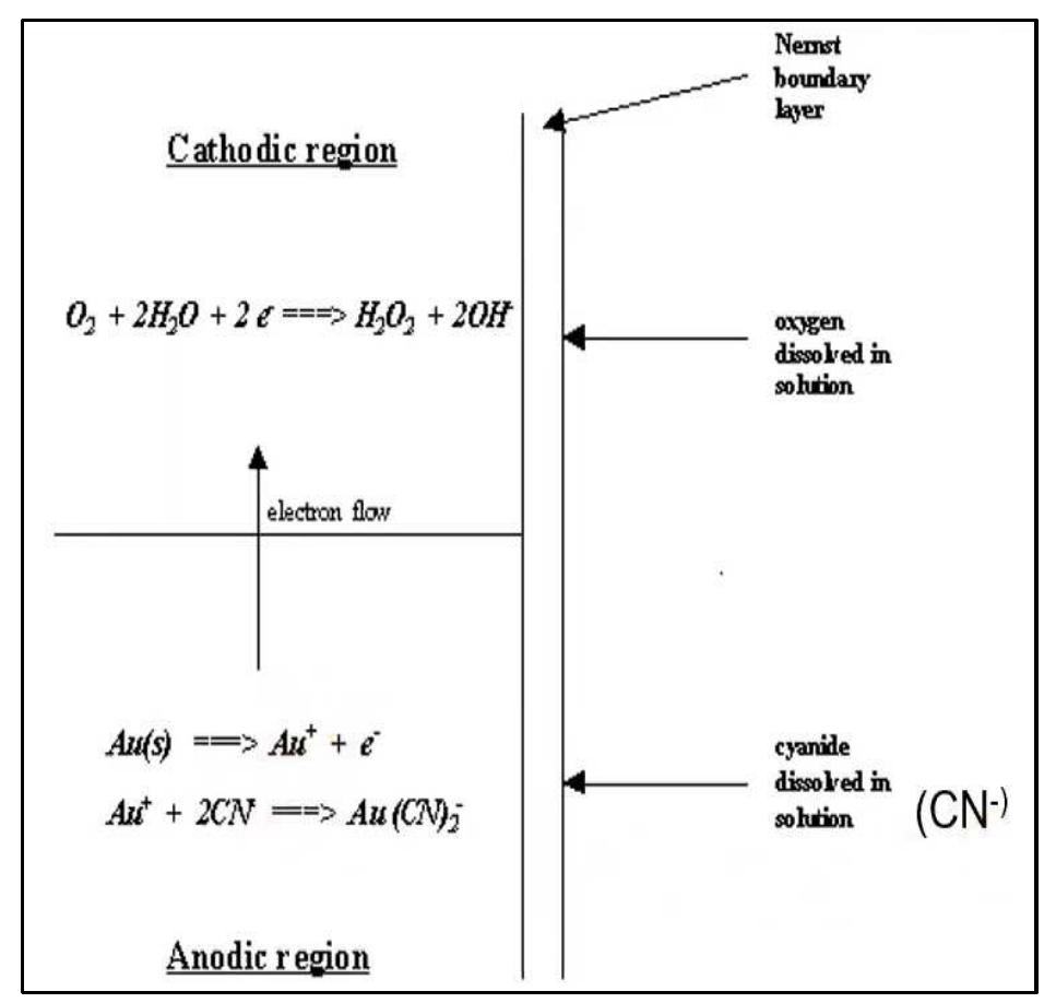 Mechanism of au electrochemical leaching [7] oxygen is added