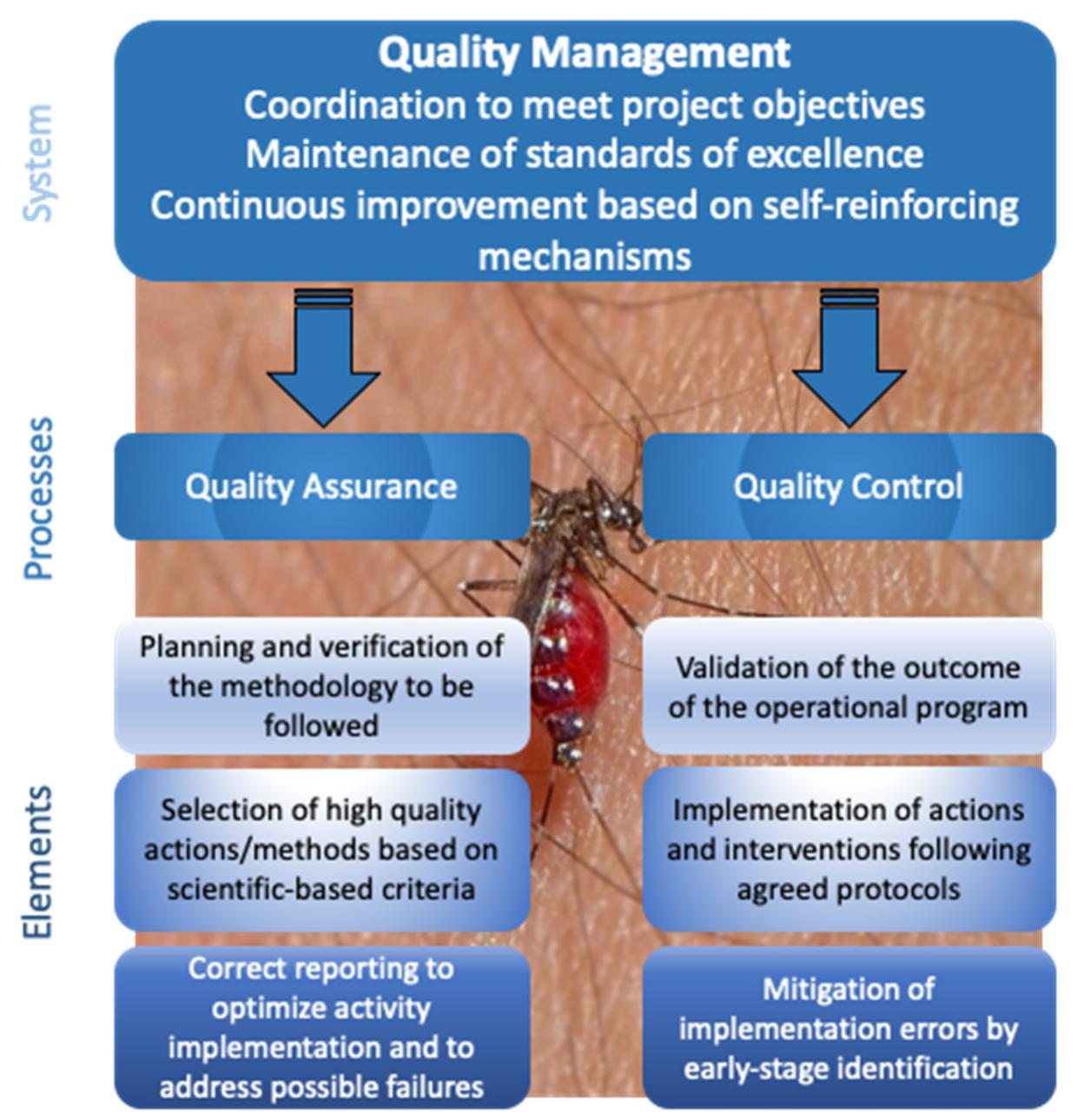 Schematic outline of quality management processes and