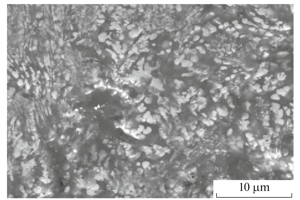 The morphology of the tempered specimen of sam- ple u46