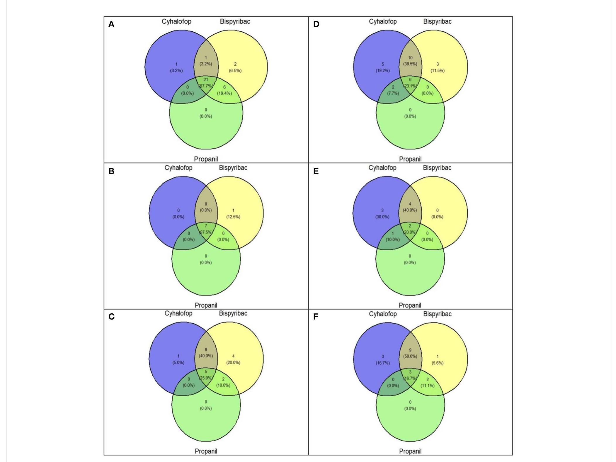 Figure 3 - from Echinochloa spp response to preemergence and
