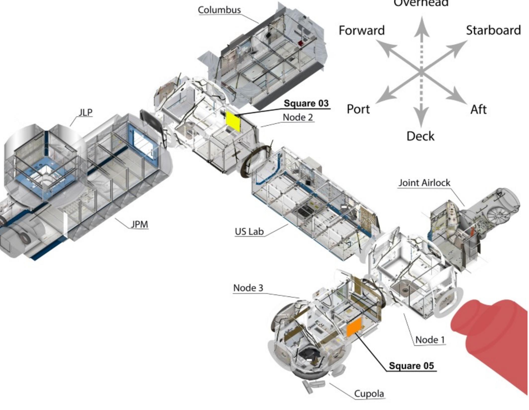 \ cutaway image of the international space station’s us