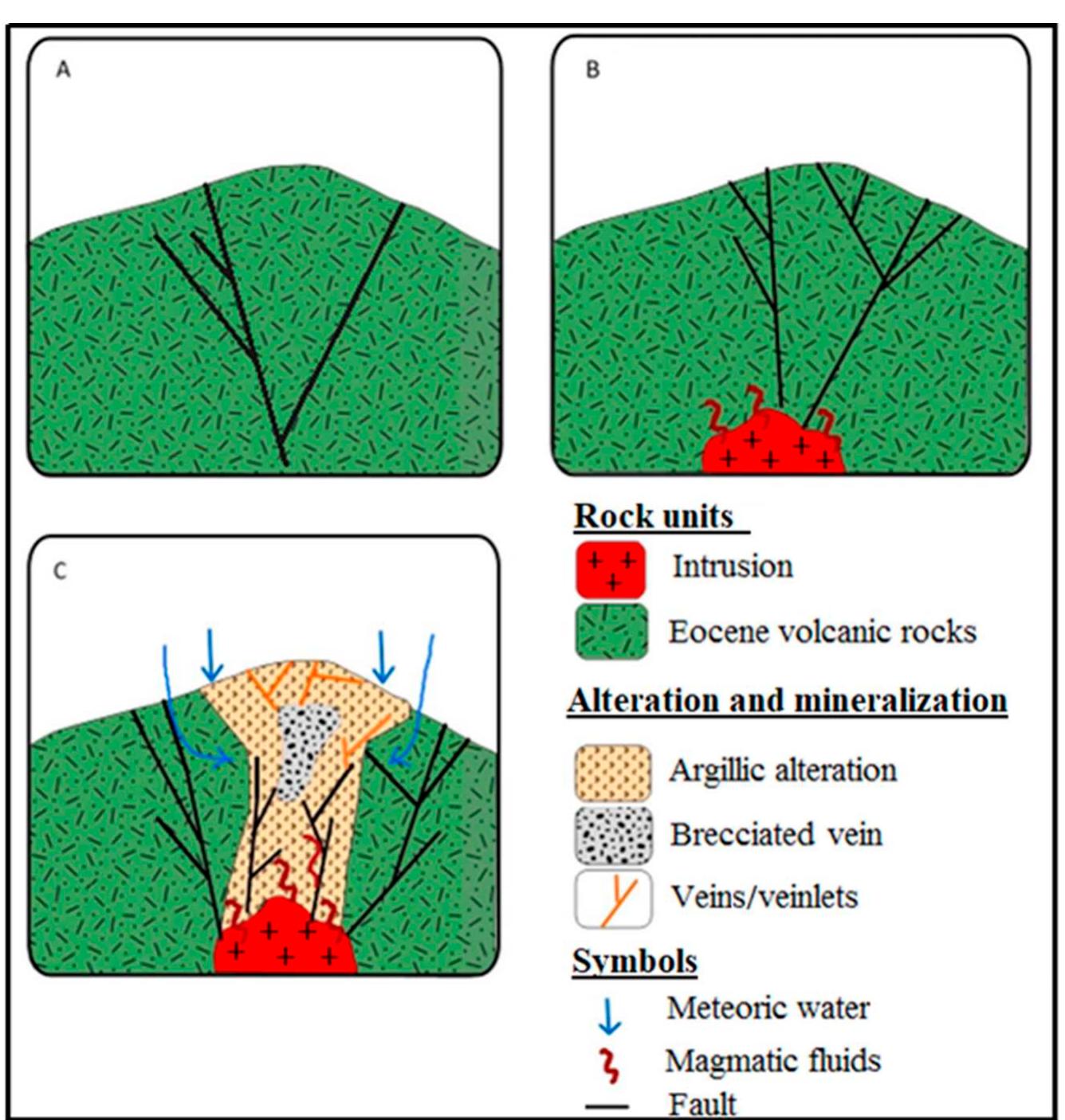 Schematic model showing the stages of formation of