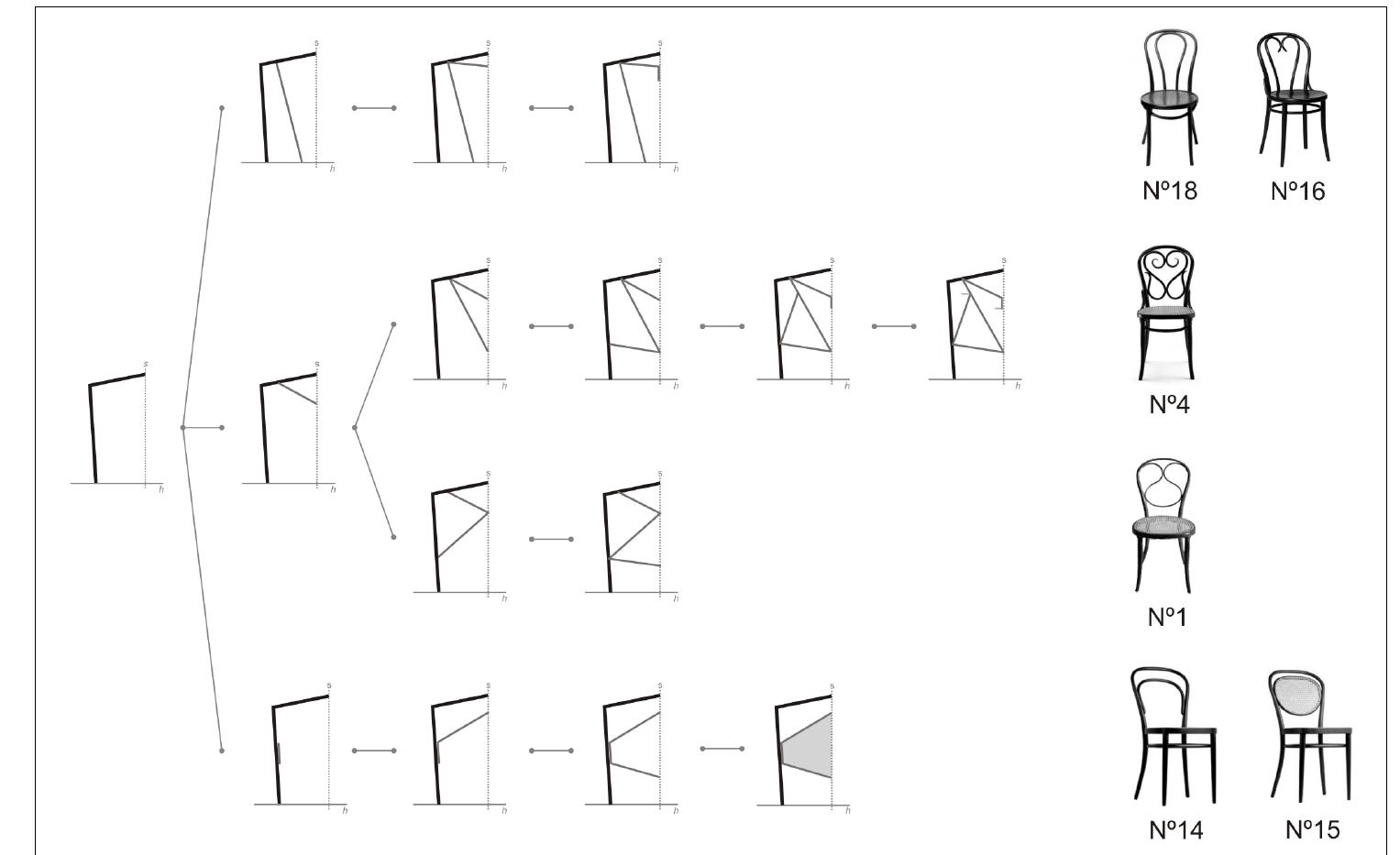 Tree diagram showing the key steps in the generation of