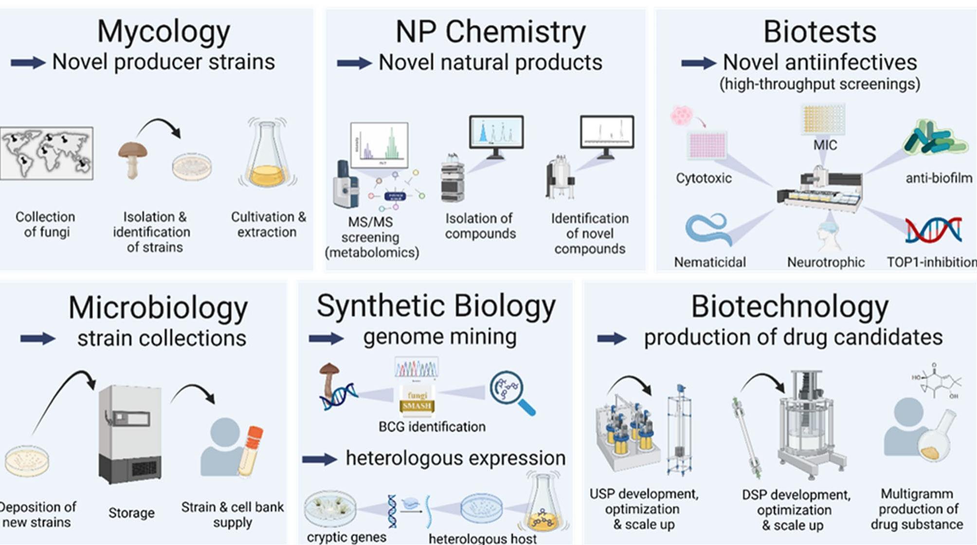 Overview of current state of fungal drug research (created