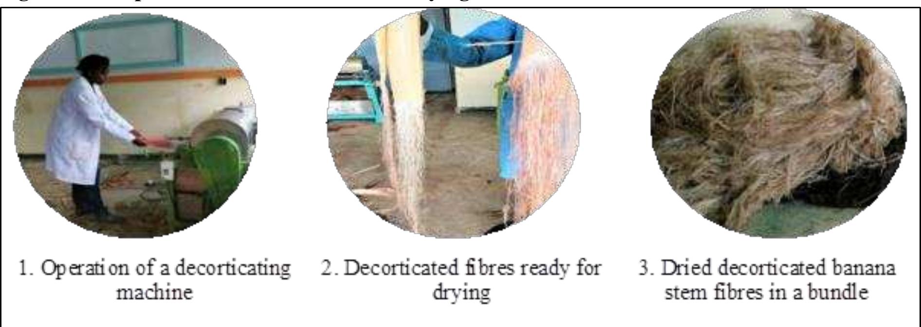 Figure 2 - from Fabrication of a Sustainable Biodegradable