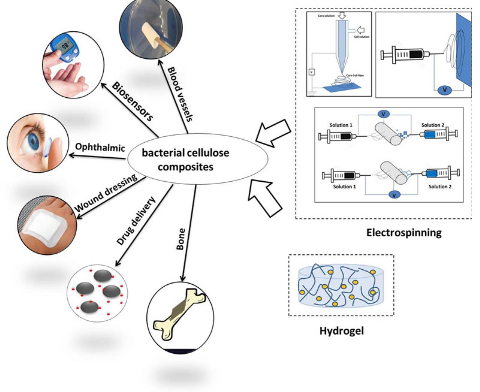 Schematic illustration of electrospinning methods used for