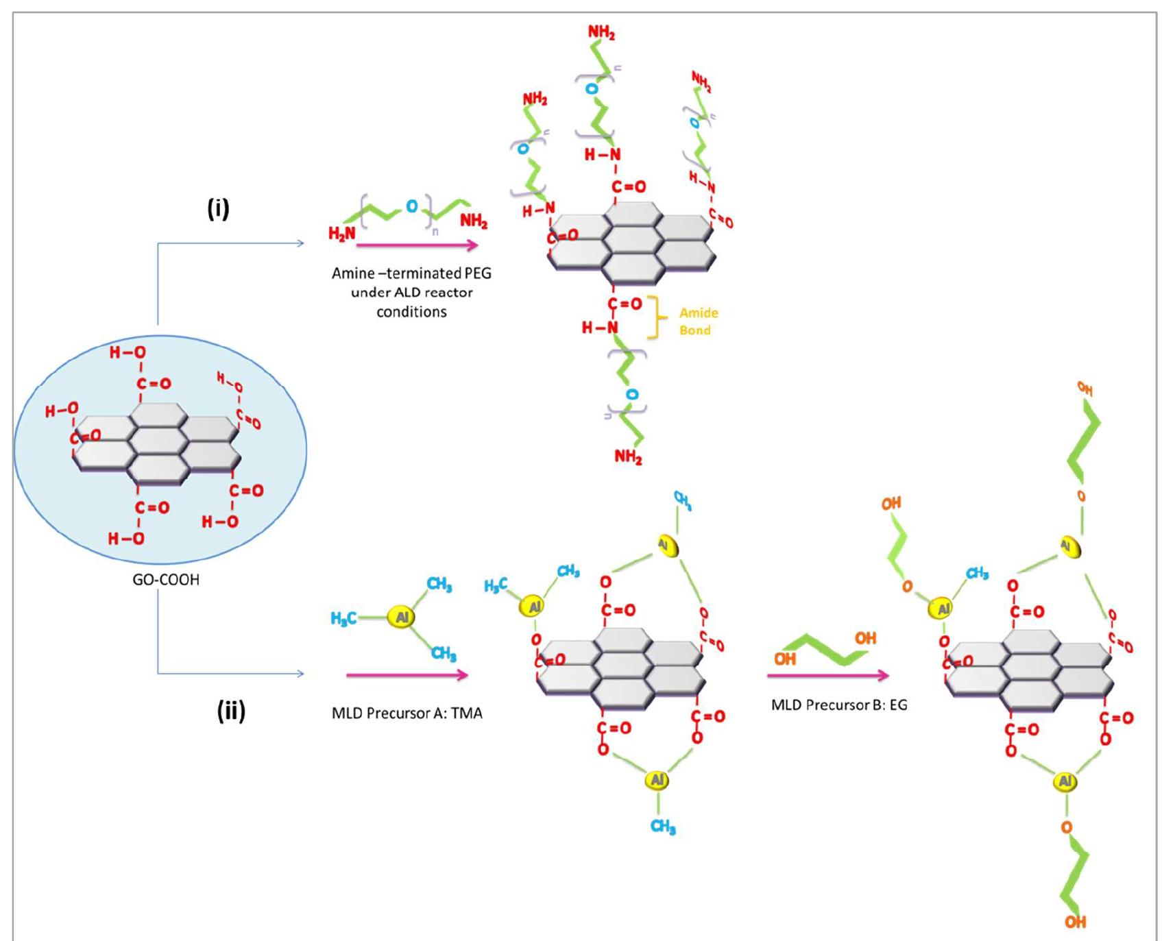 Schematic illustration of the two different routes for the