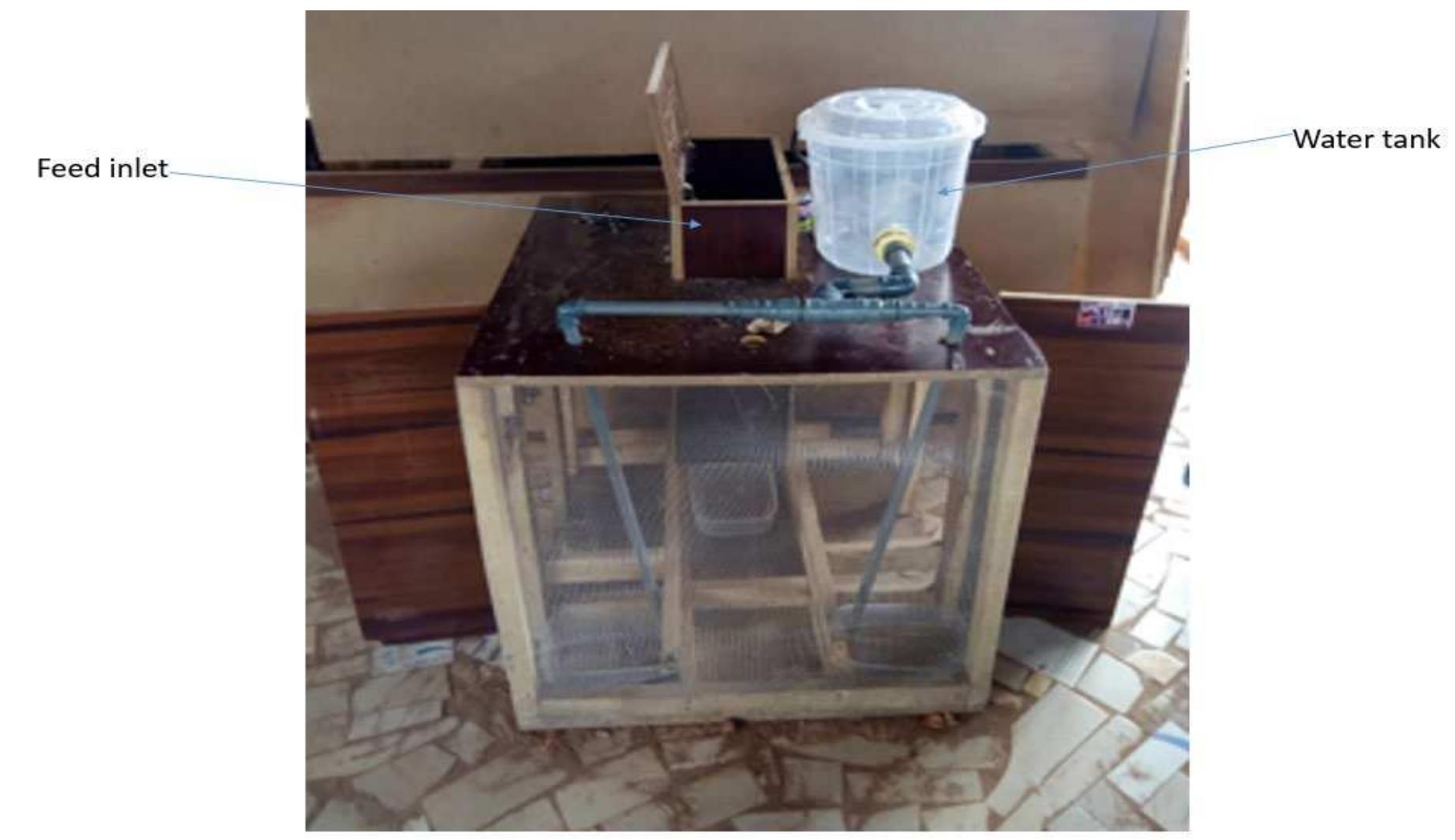 The prototype of the automated feeding system for poultry