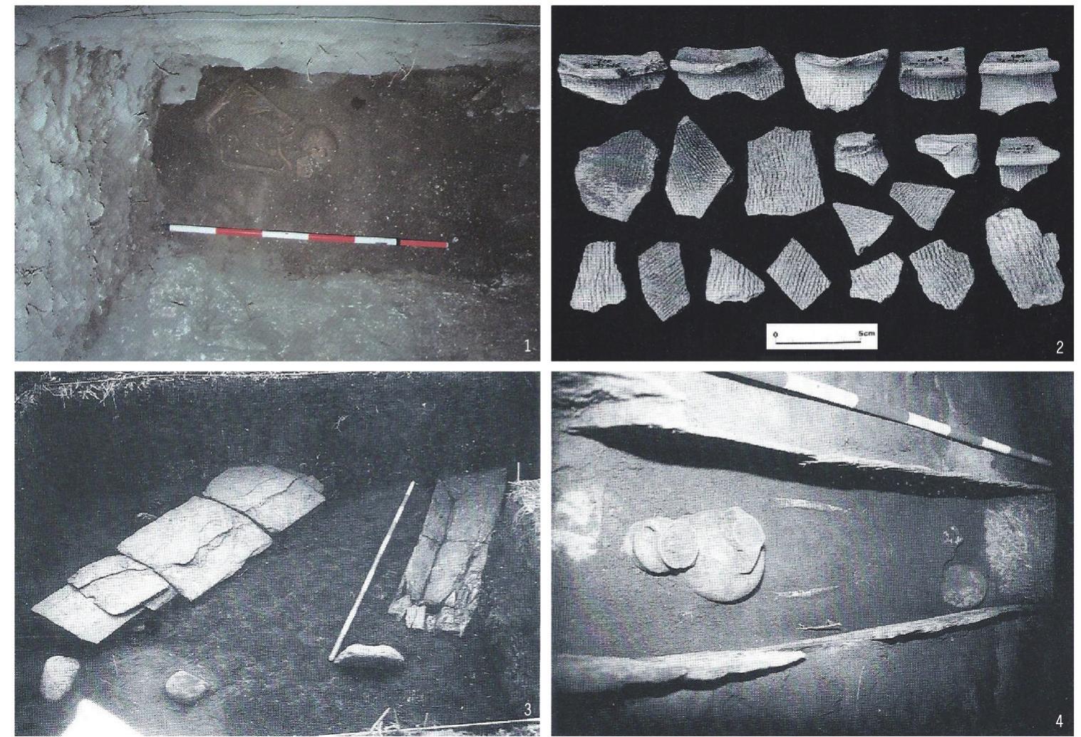 Examples of the neolithic remains from varied cultural