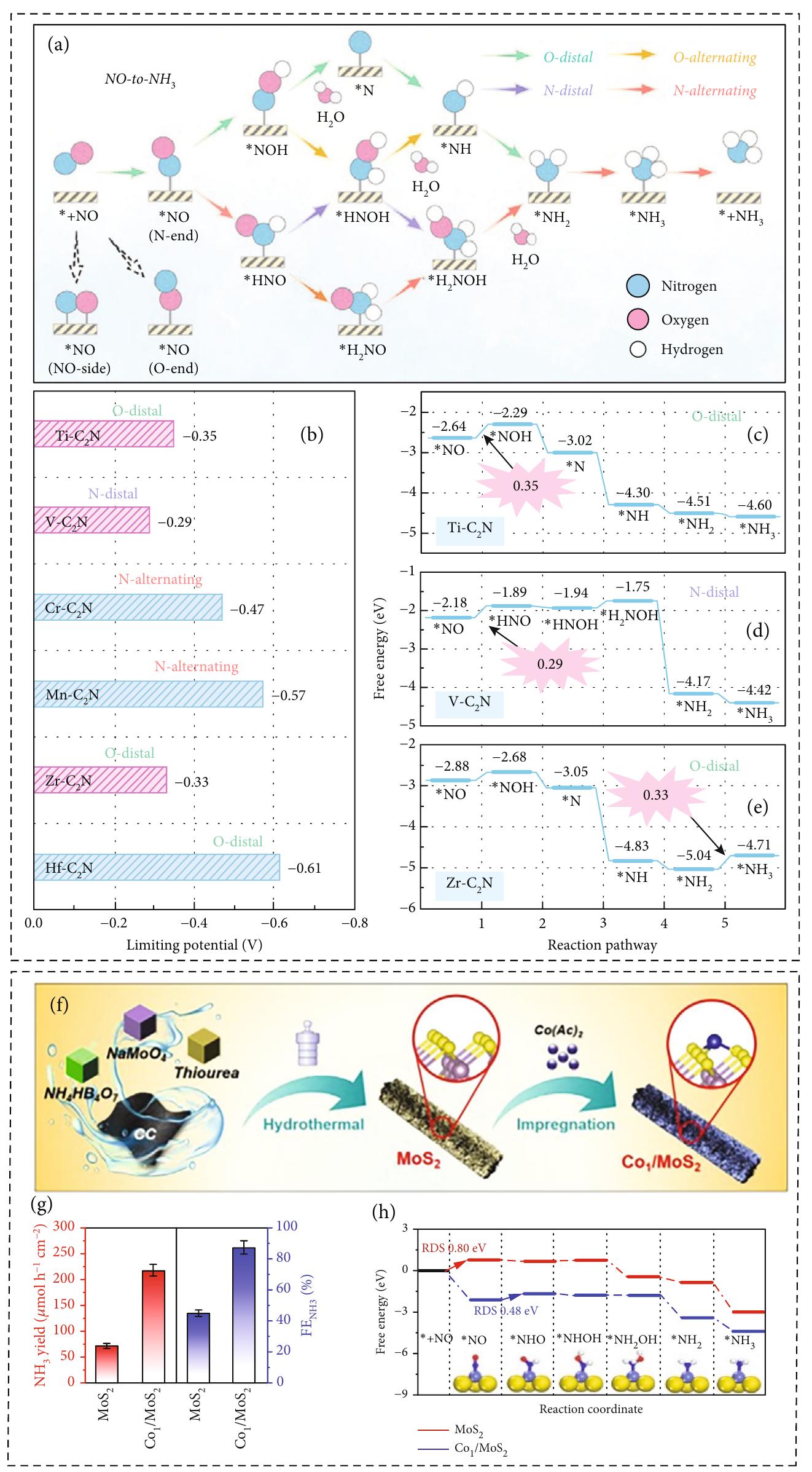 (a) schematic of the potential pathway of the norr process
