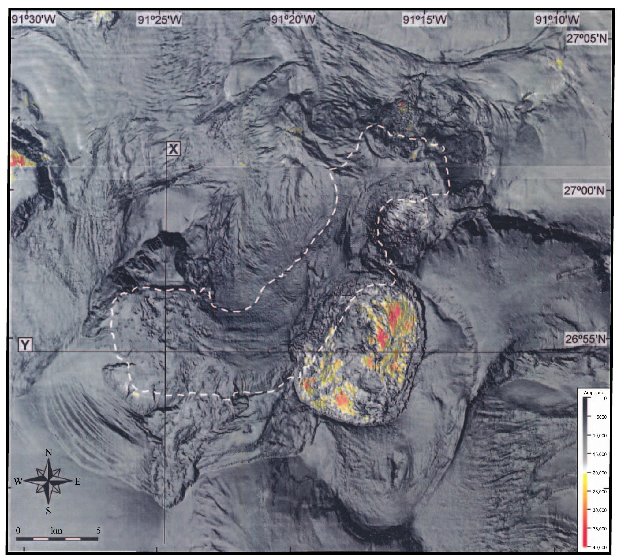 Seabed maximum amplitude map for orca basin, overlain over