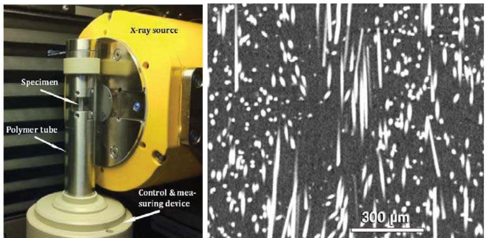 On the left picture the in-situ tensile/compression stage