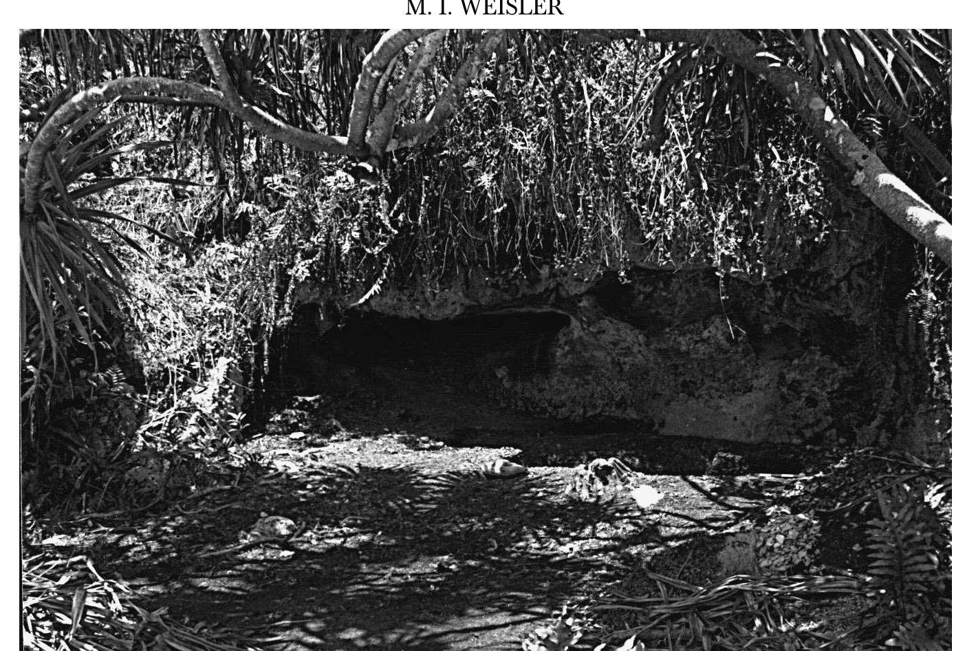 Prehistoric cave habitation (hen-1) on henderson’s north