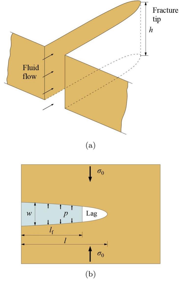 The kgd model: a the model setup [3] and b the plane strain
