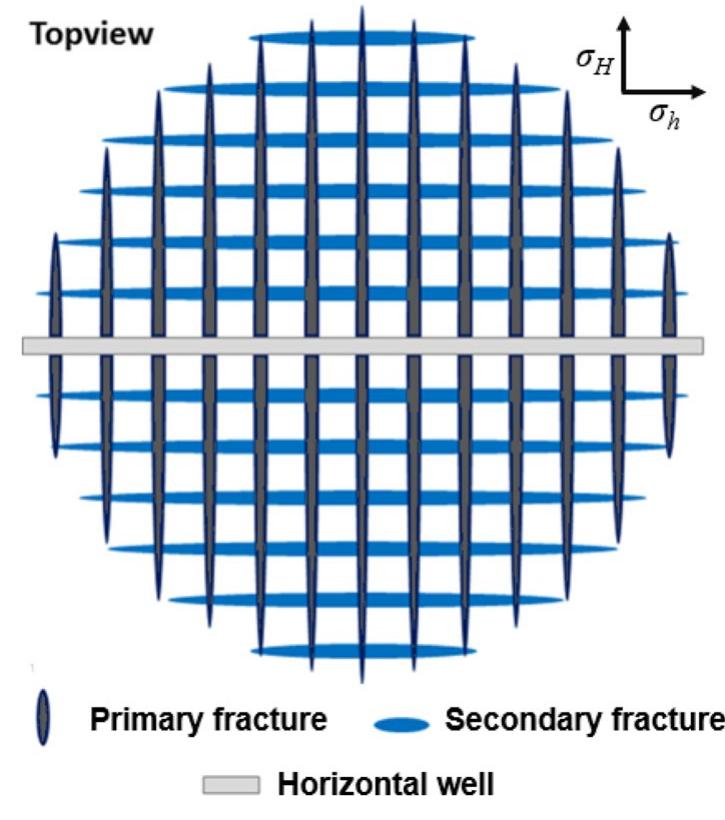 Schematic Of Discrete Fracture Network In Mshale 145 In