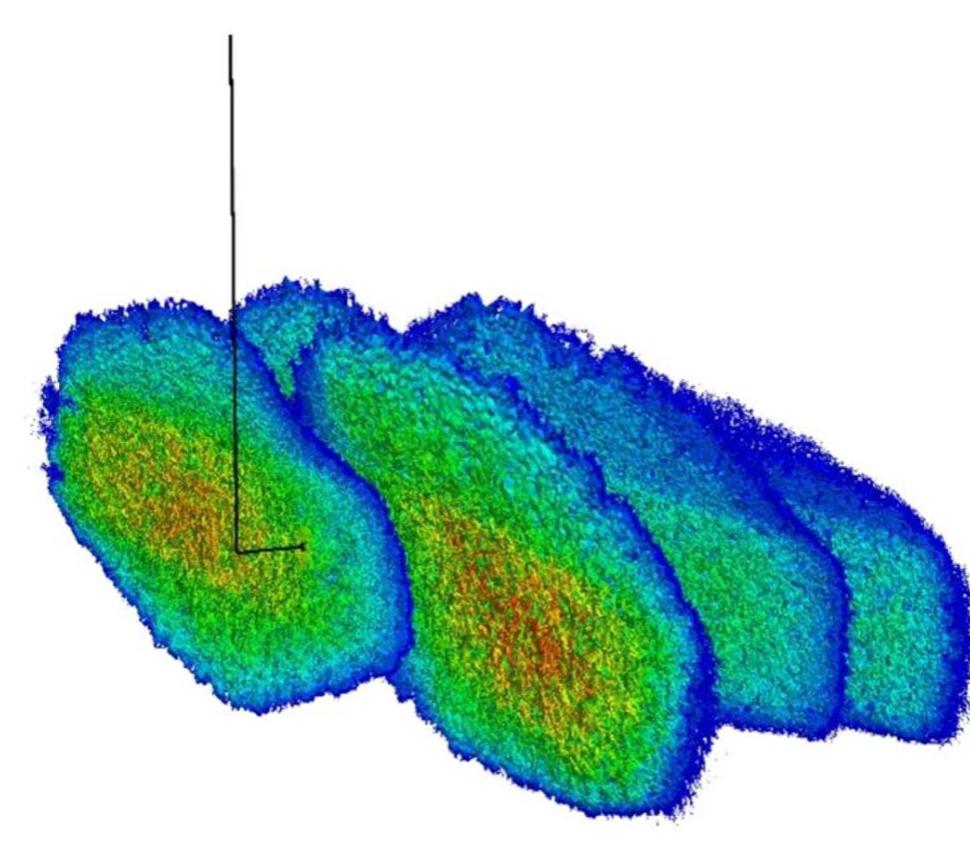 Propagation Of Multiple Hydraulic Fractures From A Wellbore